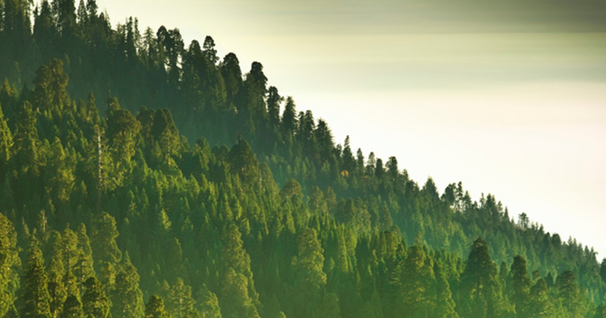 2021 December Proxy Governance Update